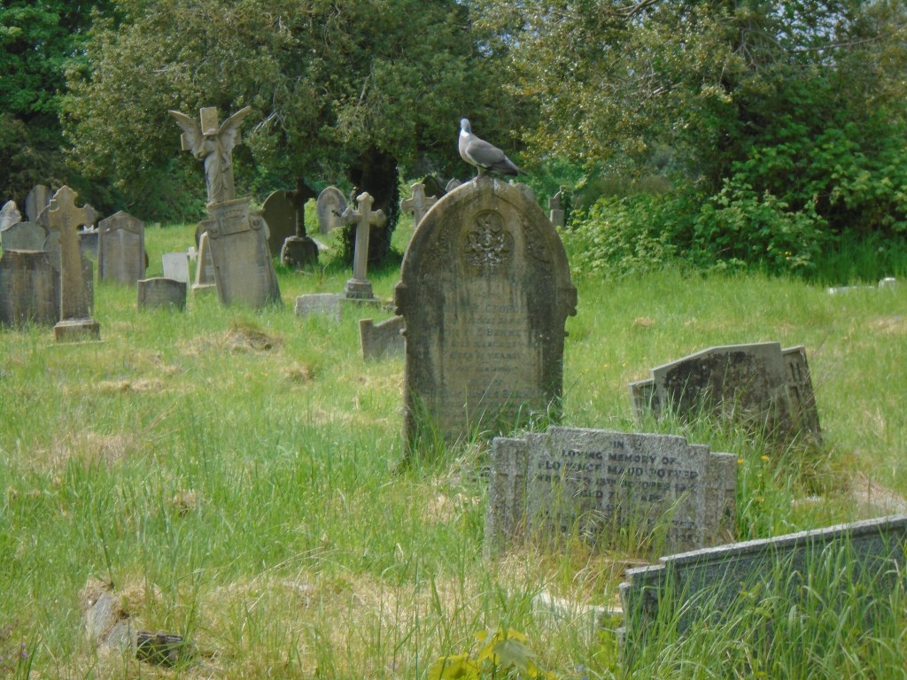 Swindon Tram Disaster – Radnor Street Cemetery