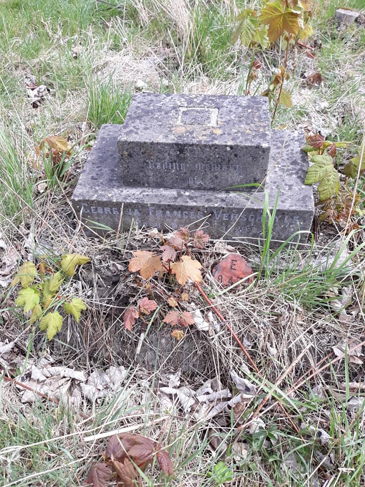 Georgina Frances Verschoyle – Radnor Street Cemetery