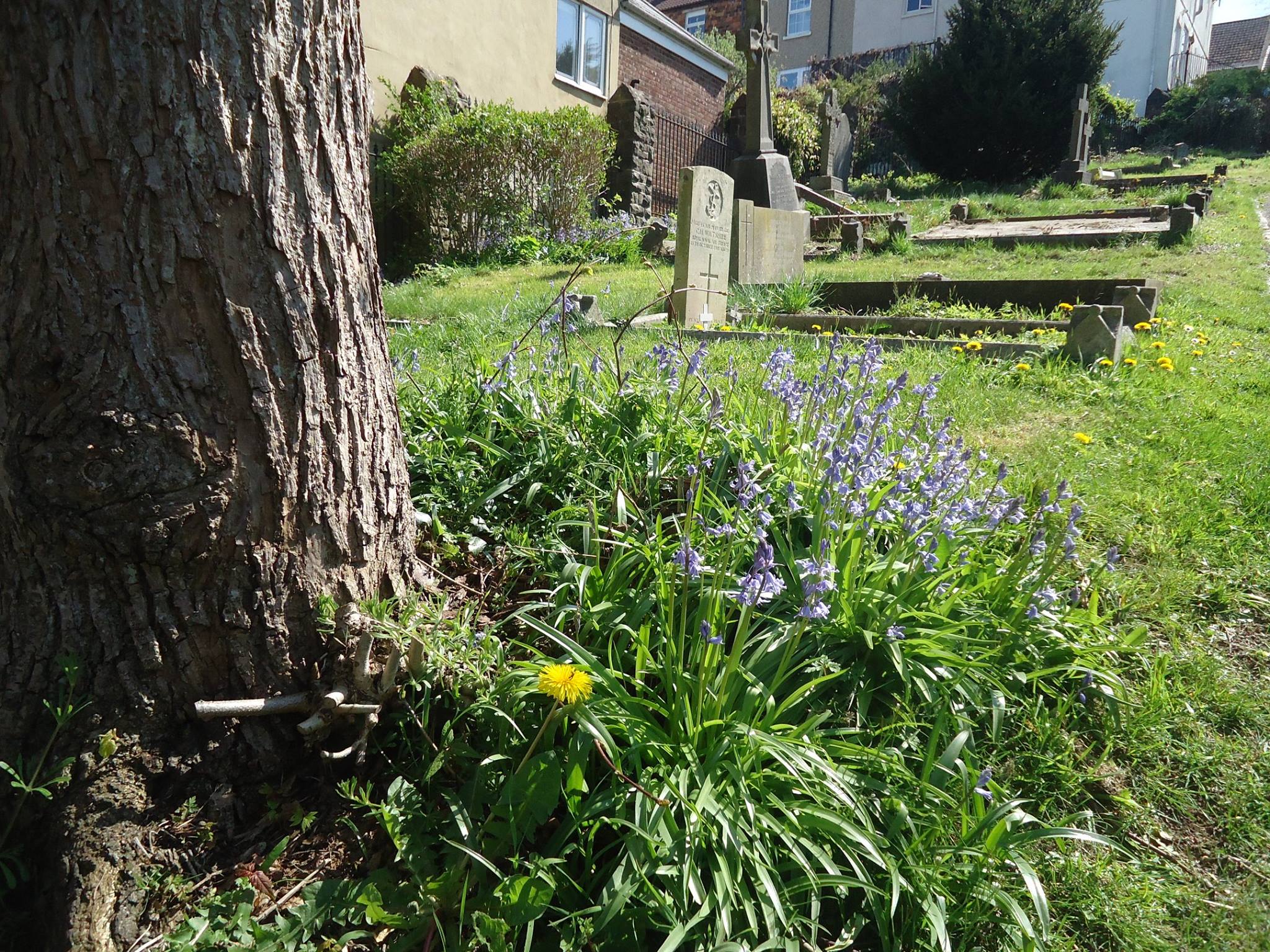 Elizabeth Lyall Embling – the first woman to be buried in Radnor Street ...