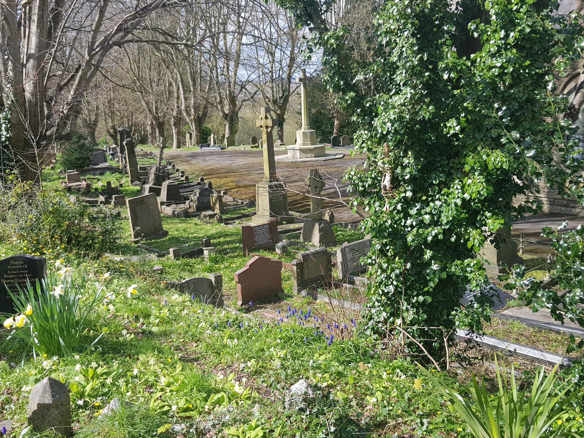 Guided cemetery walk – Radnor Street Cemetery